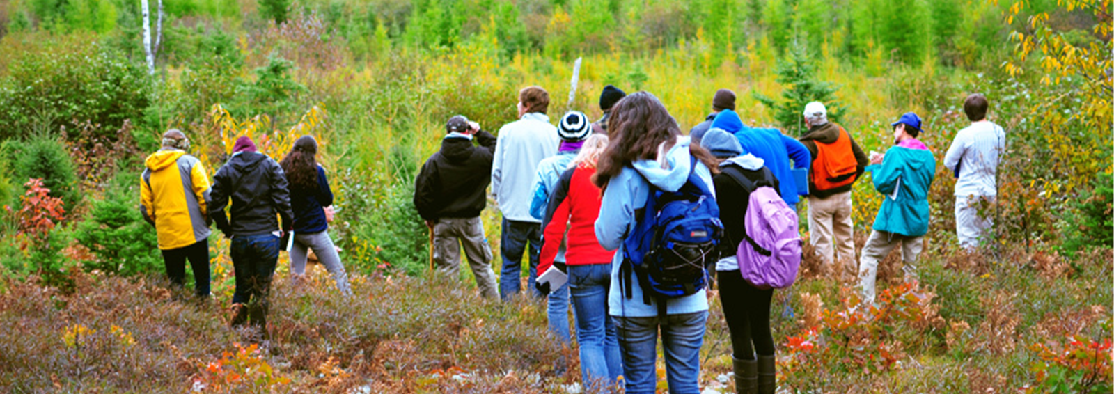Environmental Studies Lake Forest College environmental-studies-lake-forest-college